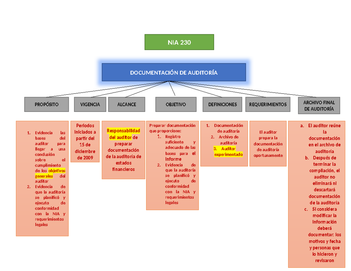 NIA 230 resúmen - teoria de auditoria - NIA 230 DOCUMENTACIÓN DE ...