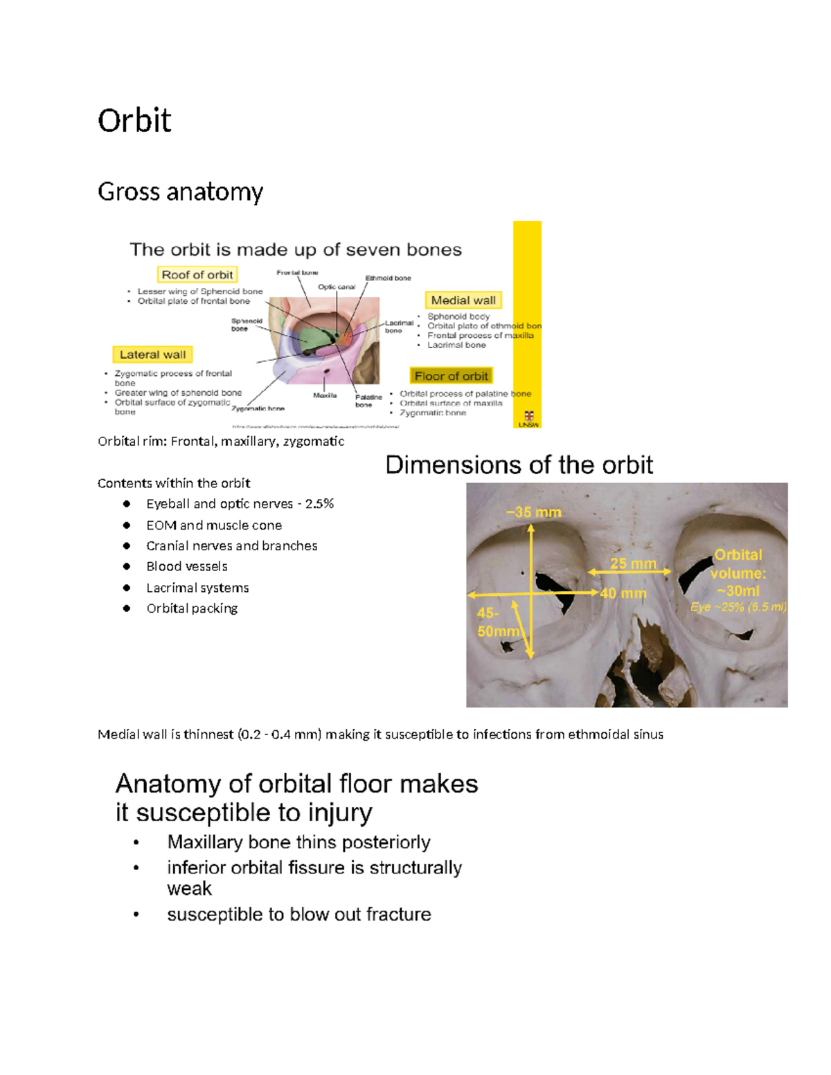 VISN Finals - Orbit Gross anatomy Orbital rim: Frontal, maxillary ...