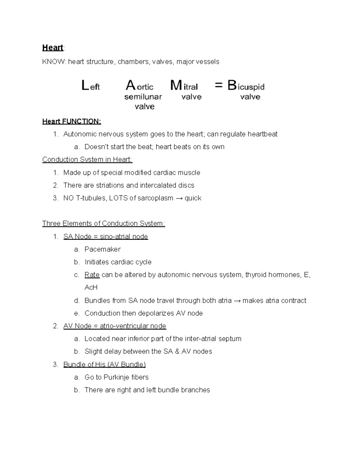 Heart - Lecture notes 6-8 - Heart : KNOW: heart structure, chambers ...