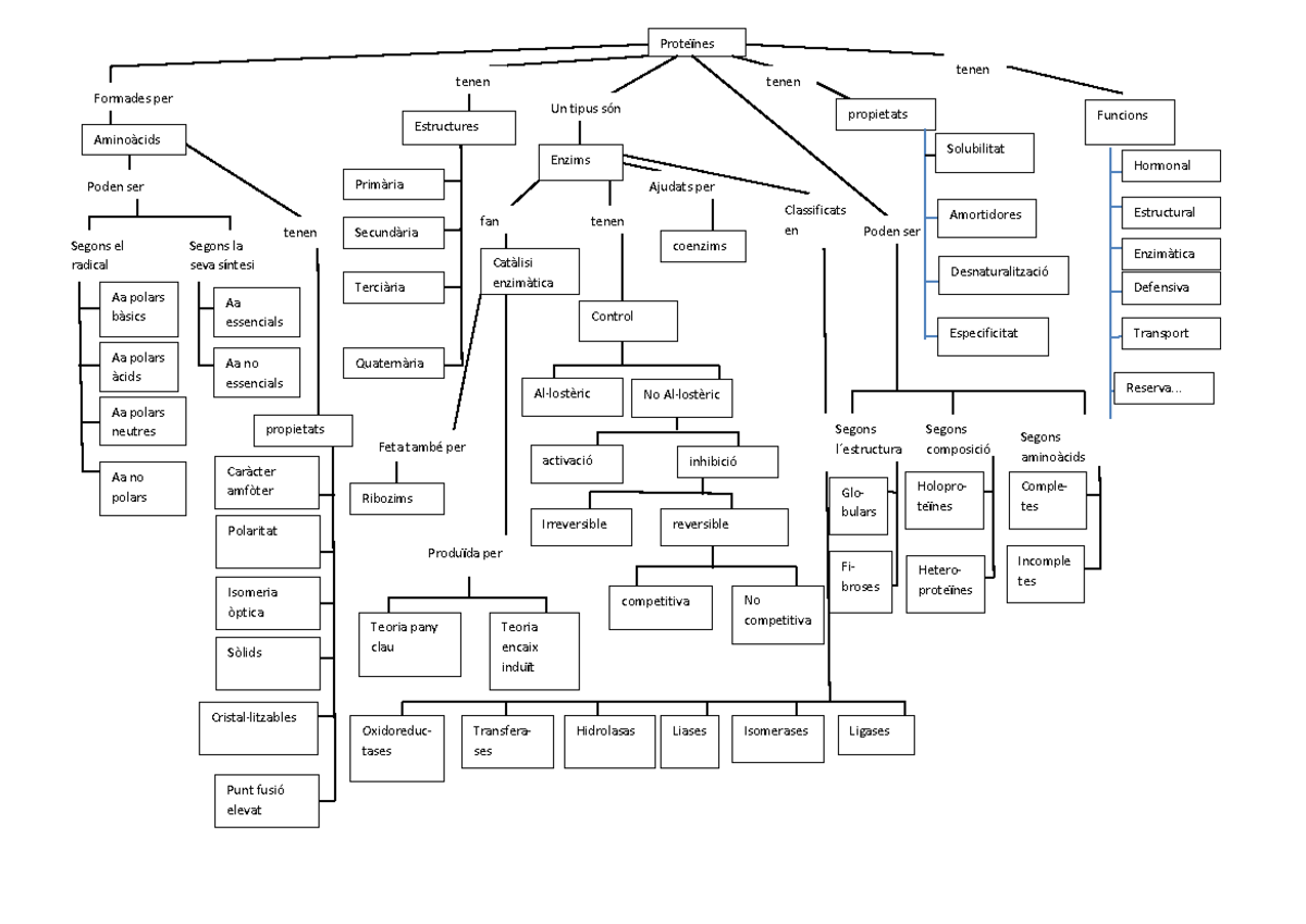 Mapa conceptual prote Ã¯nes - ió Proteïnes Formades per Aminoàcids Poden ser Segons el radical ...