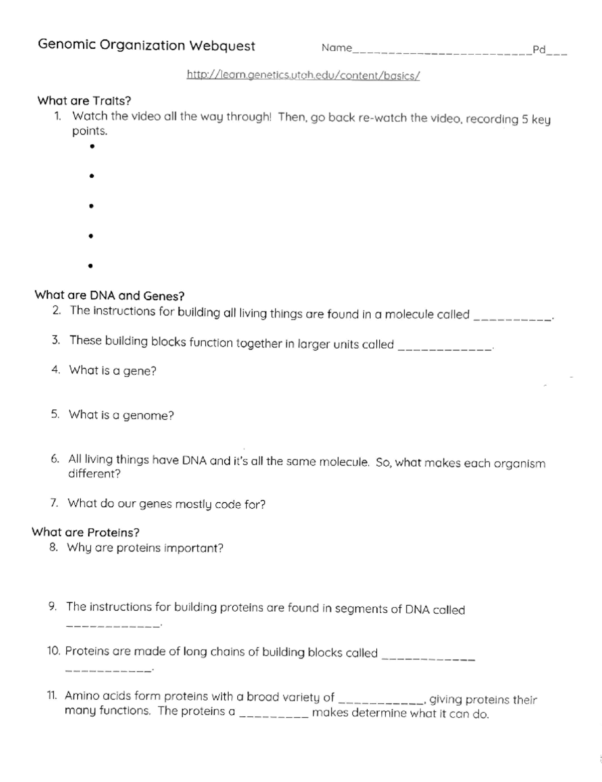 Genomic Organization Webquest Worksheet - Studocu