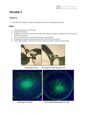 Photosynthesis Lab Protocoland Datasheet spinach v3 - Section ...