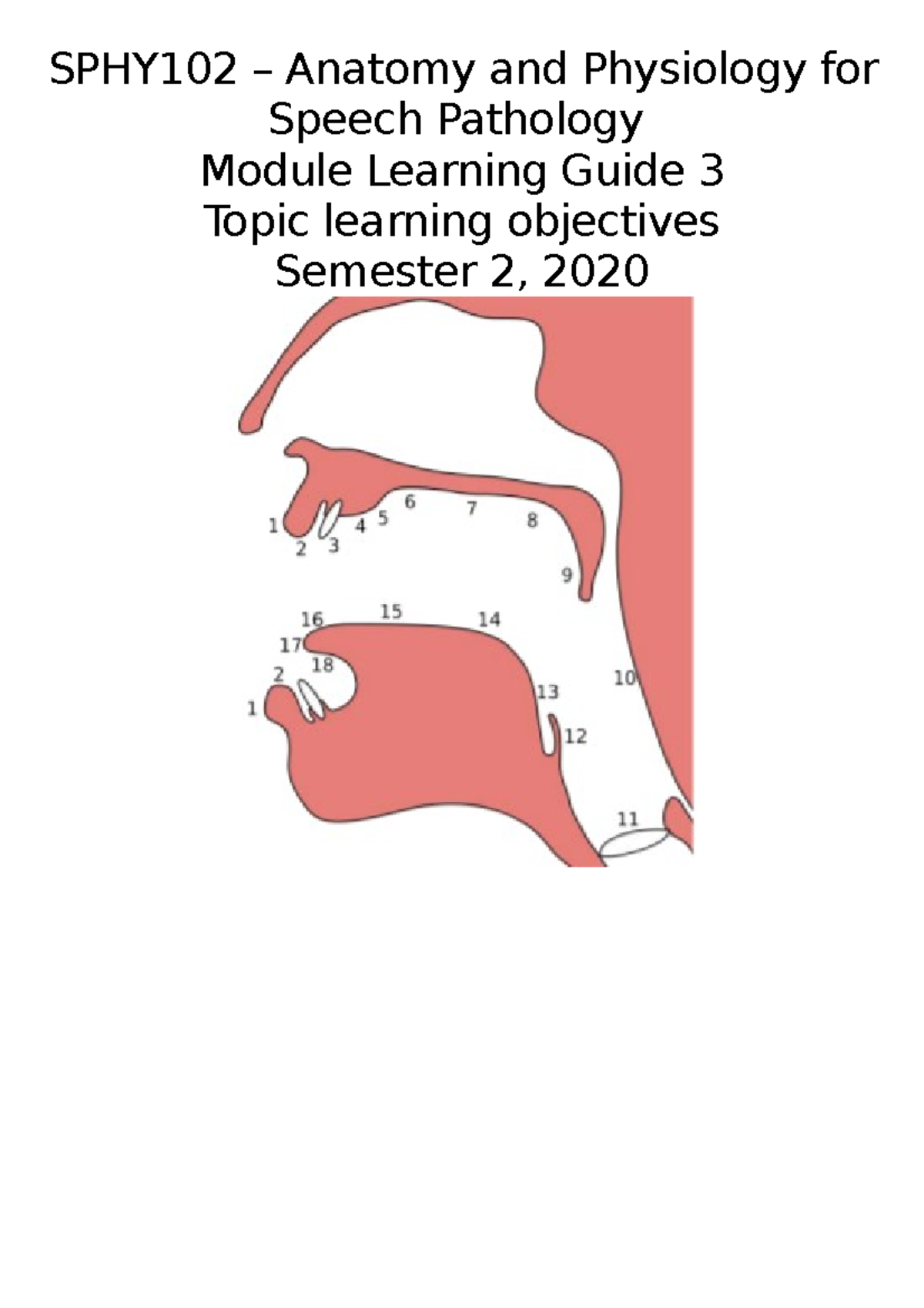 SPHY102 Notes Module 3 - SPHY102 – Anatomy and Physiology for Speech ...
