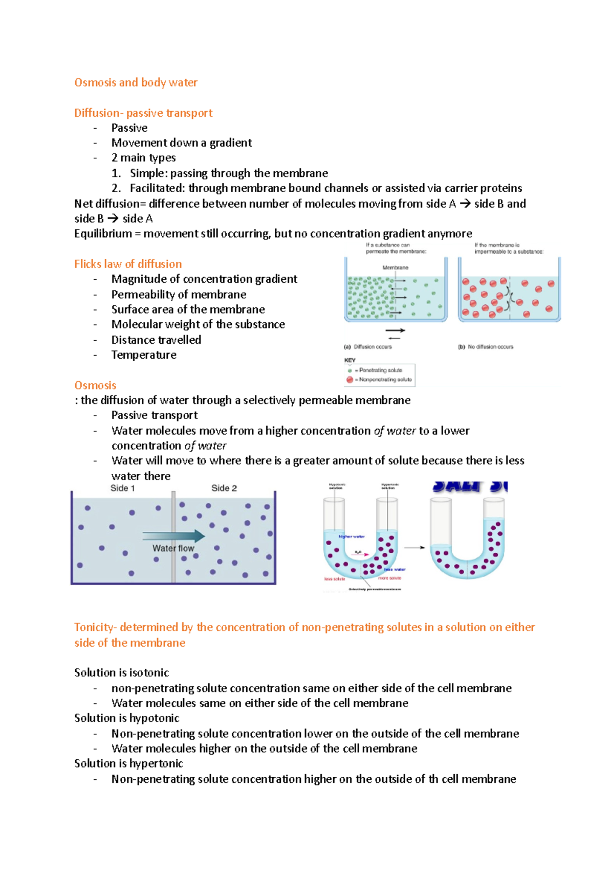 Osmosis and body water - Notes - Osmosis and body water Diffusion ...