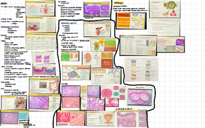 Ph Virtual Lab - Simplified information about pH - - Studocu