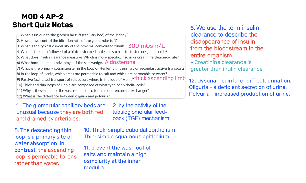 AP2 mod4 quiz anss - lecture of ap2 - MOD 4 AP- Short Quiz Notes 1. The ...
