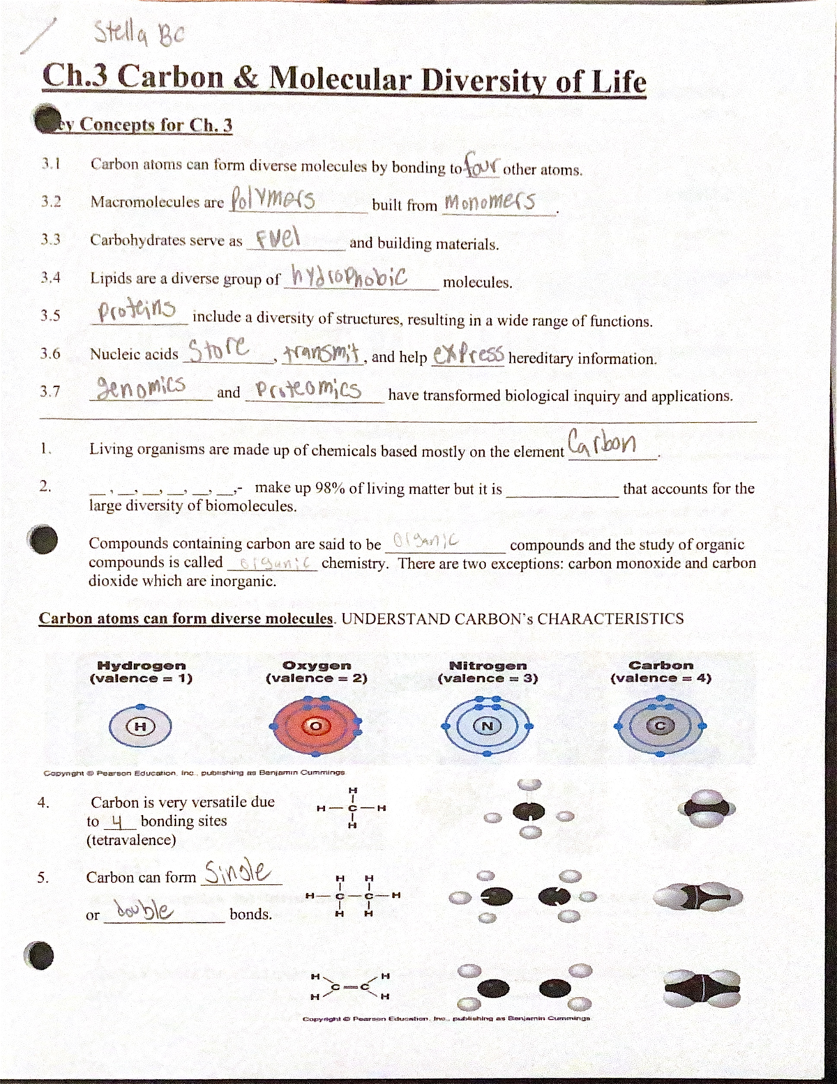 Scanned Document - Stella BC Ch Carbon Molecular Diversity of Life ey ...