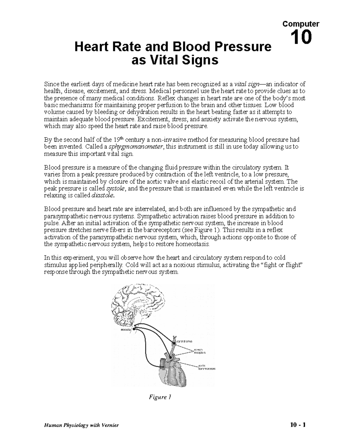 10 Heart Rate BP Vital Signs - Human Physiology with Vernier 10 - 1 10 ...
