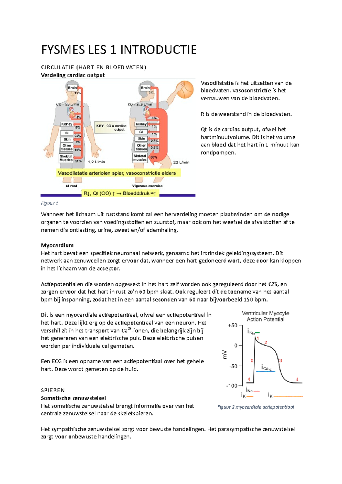 Fysmes les 1 introductie - Figuur 1 FYSMES LES 1 INTRODUCTIE CIRCULATIE ...