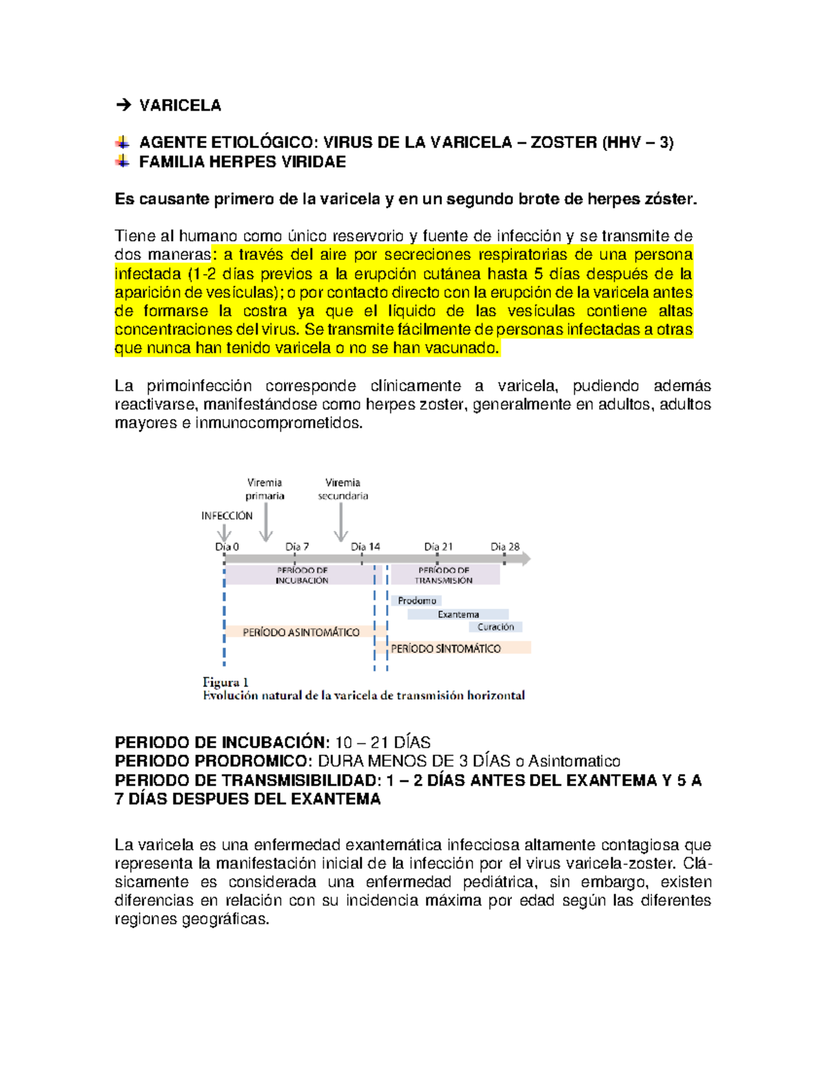 Varicela - VARICELA AGENTE ETIOLÓGICO: VIRUS DE LA VARICELA – ZOSTER ...