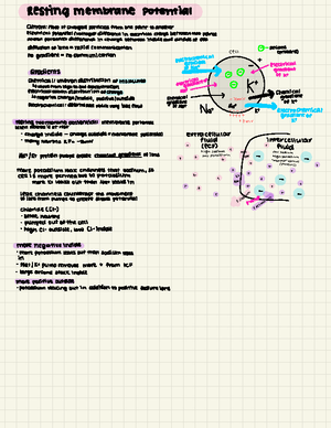 Bio Blood Vessels - BloodVessels valves oxygenated Veins wpressure ...