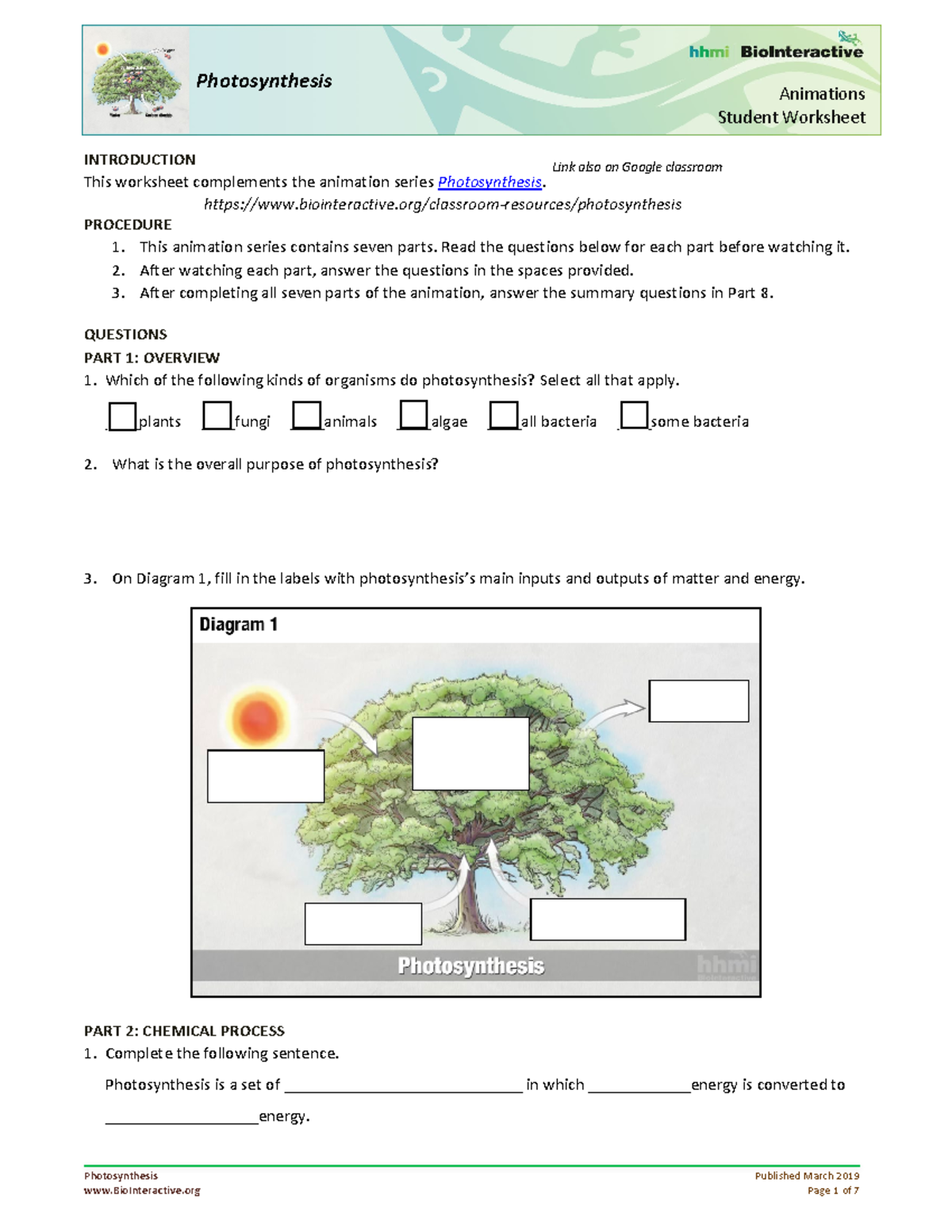 Photosynthesis-Student WS-animation - Photosynthesis Published March ...