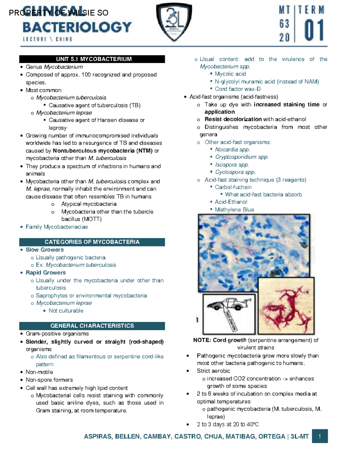 TB-UST - Tuberculosis pathogenesis, diagnosis, and treatment - UNIT 5 ...