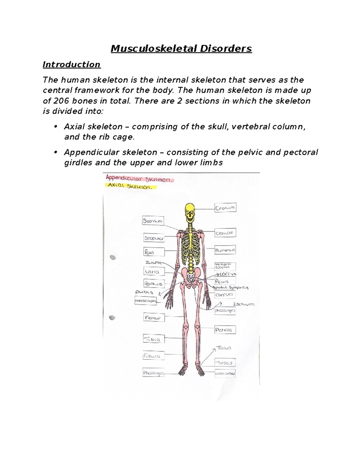 Musculoskeletal disorders - Musculoskeletal Disorders Introduction The ...
