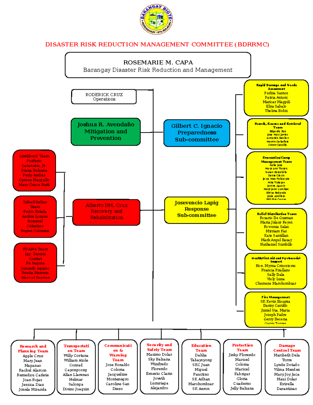 Workshop 1 - Bdrrmp Committee - DISASTER RISK REDUCTION MANAGEMENT ...