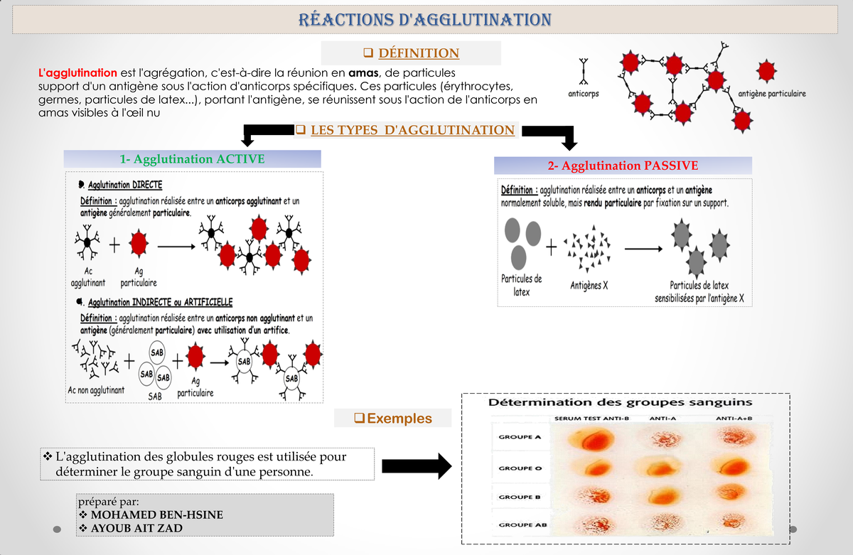 La fiche Réactions d'agglutination 2 - Réactions d'agglutination ...