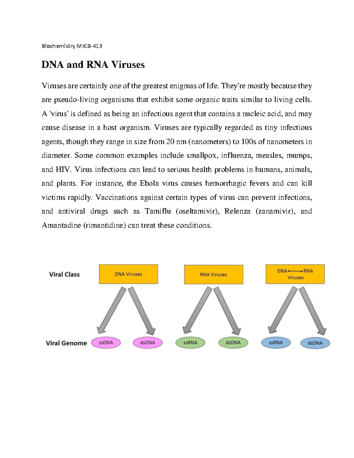 DNA and RNA Viruses - Biochemistry MICB- DNA and RNA Viruses Viruses ...