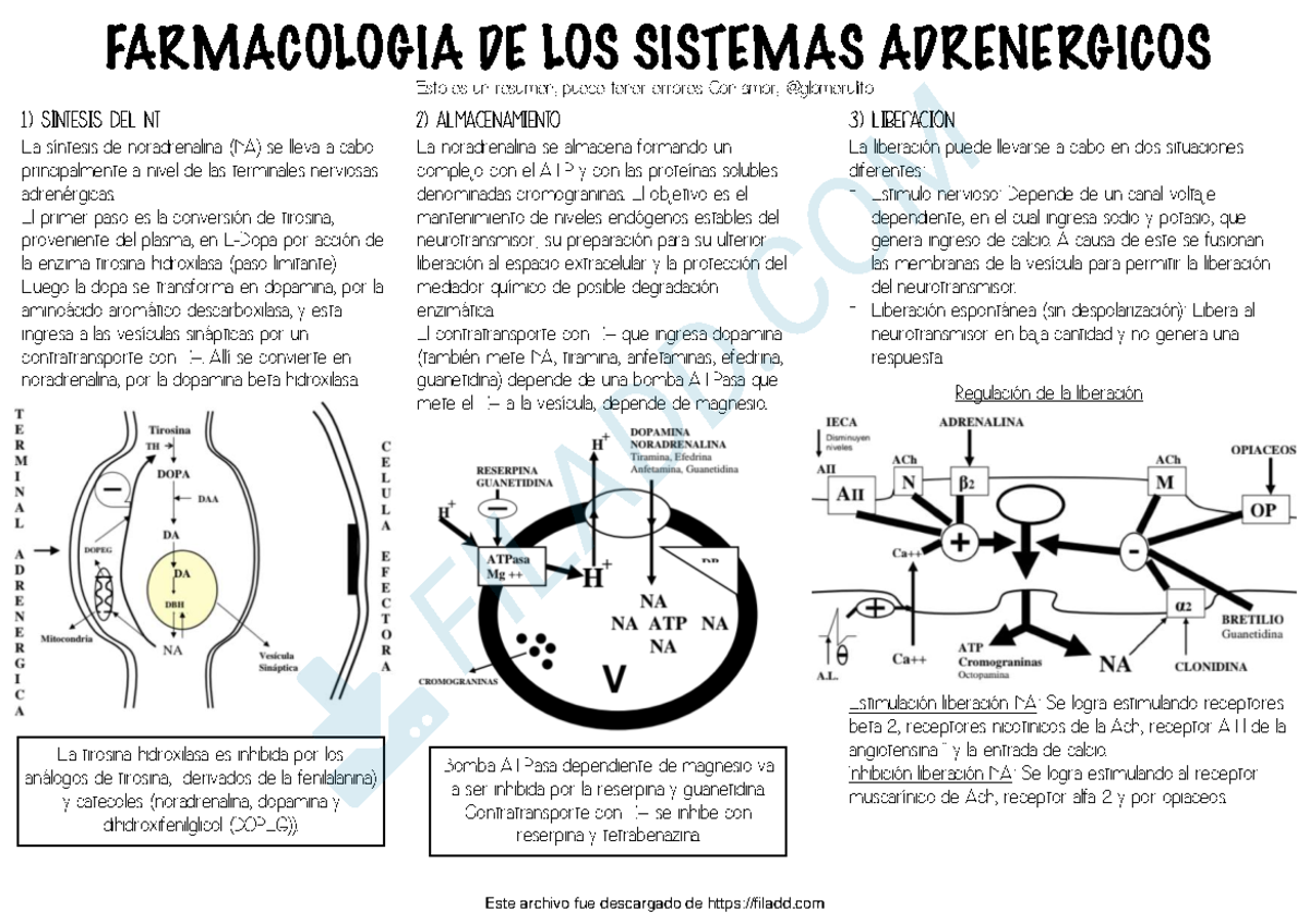 Adrenergicos - guia para practicas - FARMACOLOGIA DE LOS SISTEMAS ...