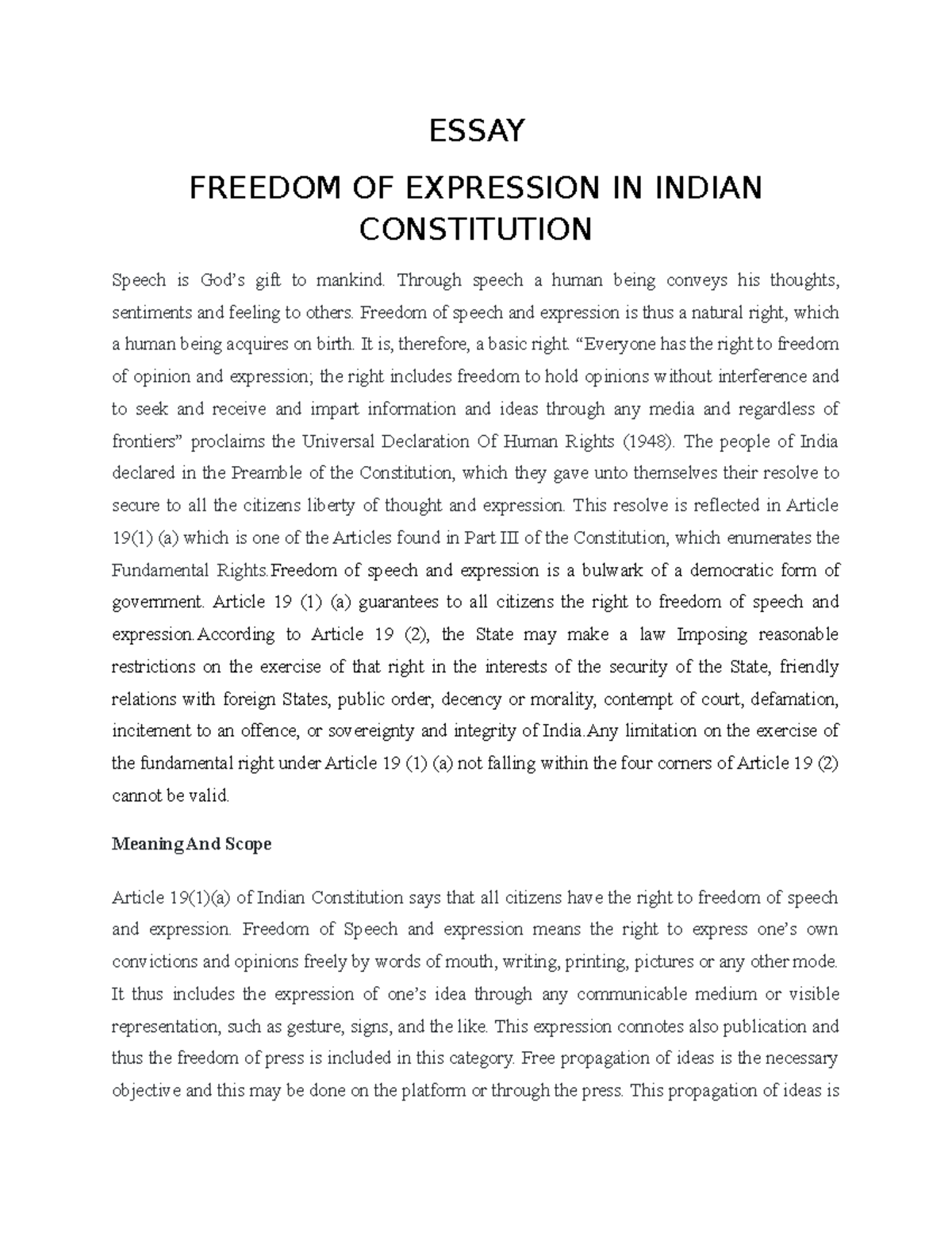 English essay freedom of expression - ESSAY FREEDOM OF EXPRESSION IN INDIAN CONSTITUTION Speech ...