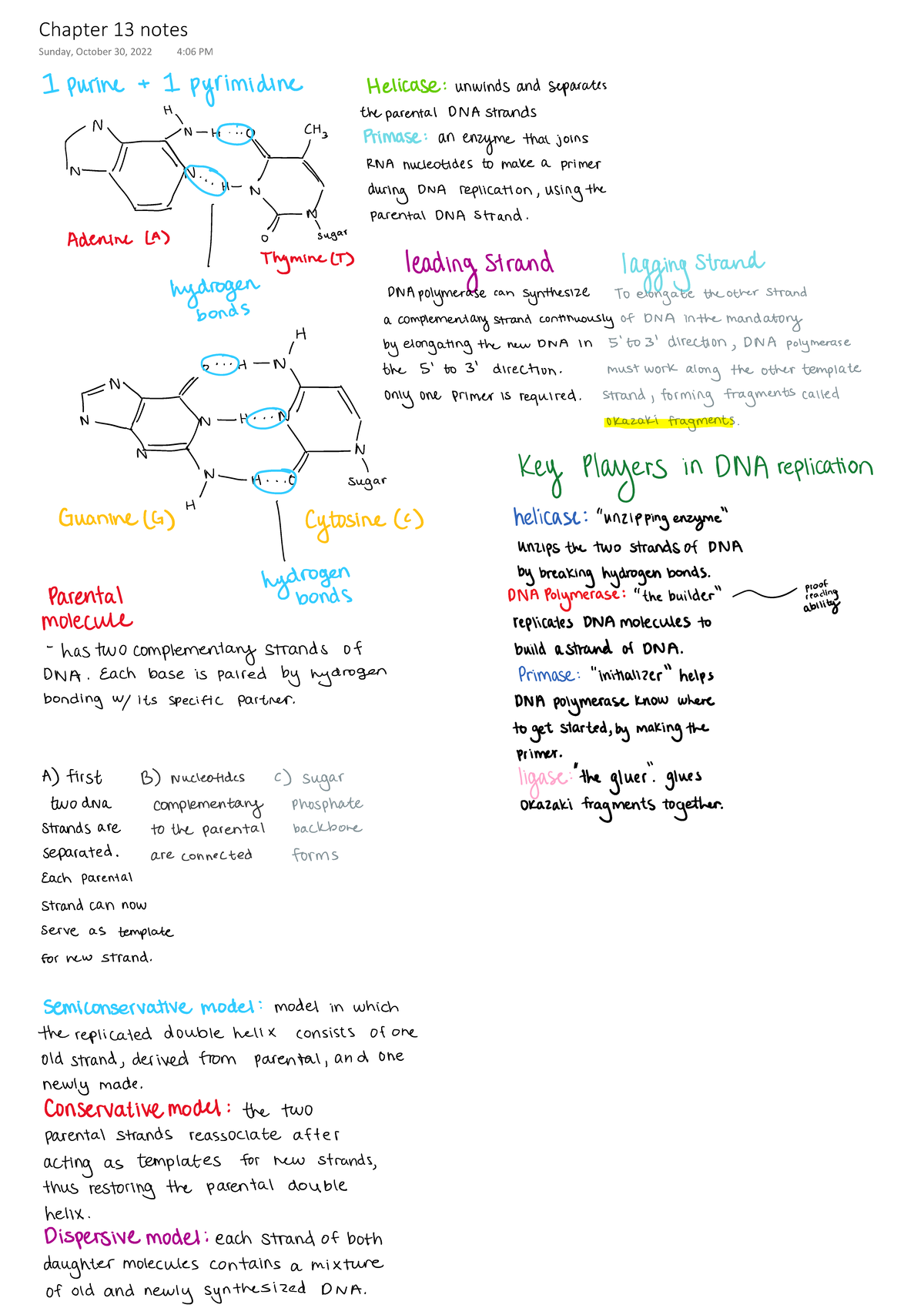 Chapter 13 notes - BIO 311C - Chapter 13 notes Sunday, October 30, 2022 ...