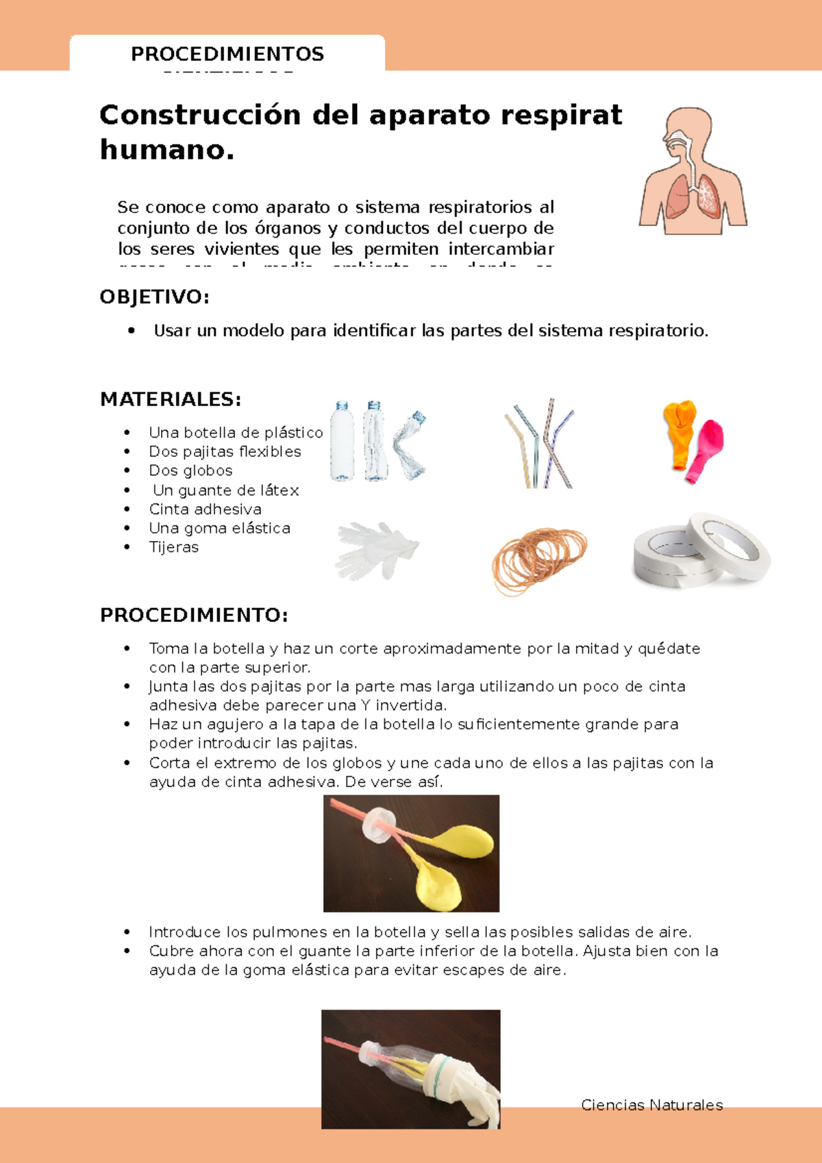 Aparato respiratorio - Apuntes 1 - Construcción del aparato ...