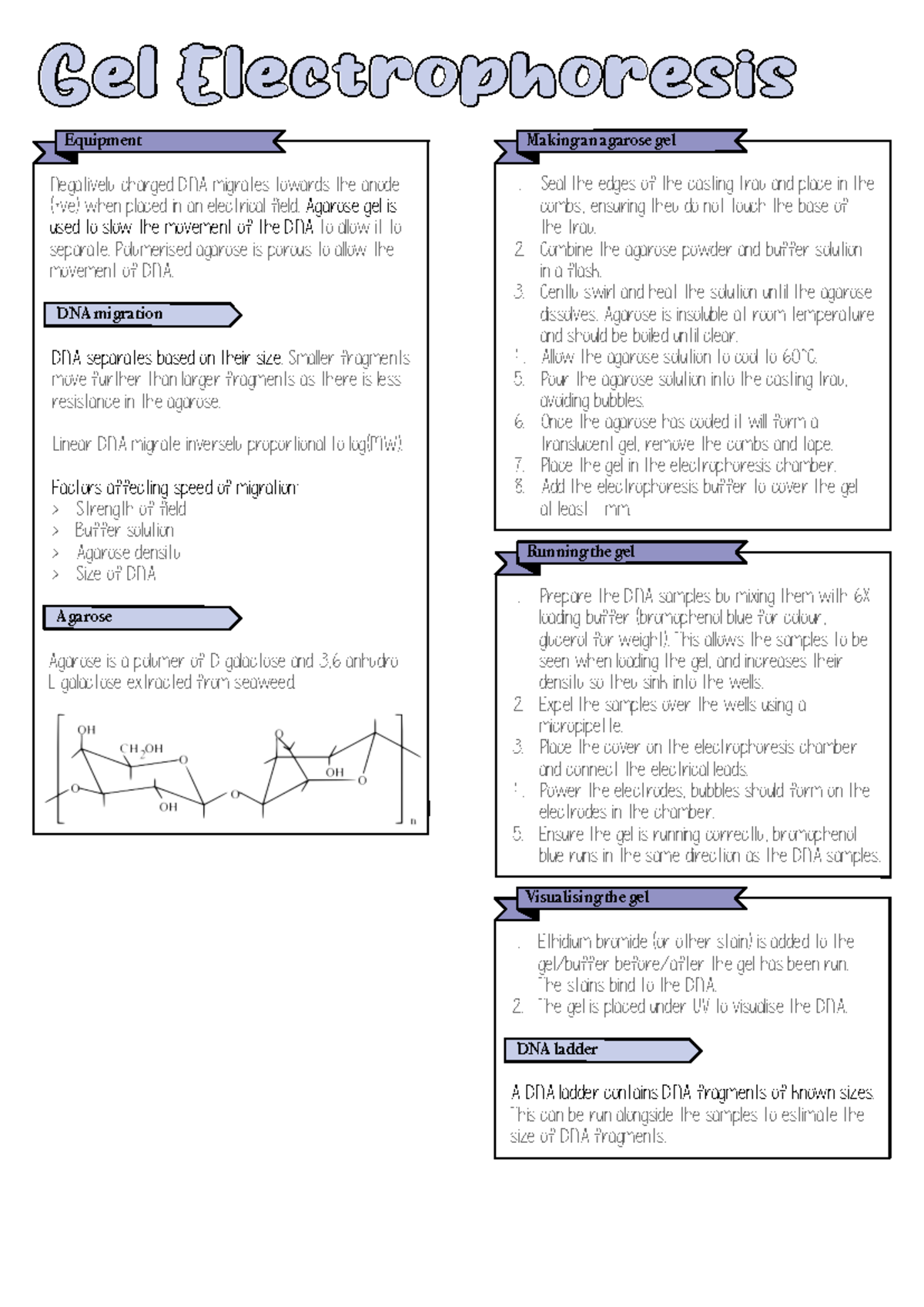 Gel Electrophoresis - Agarose gel is used to slow the movement of the ...