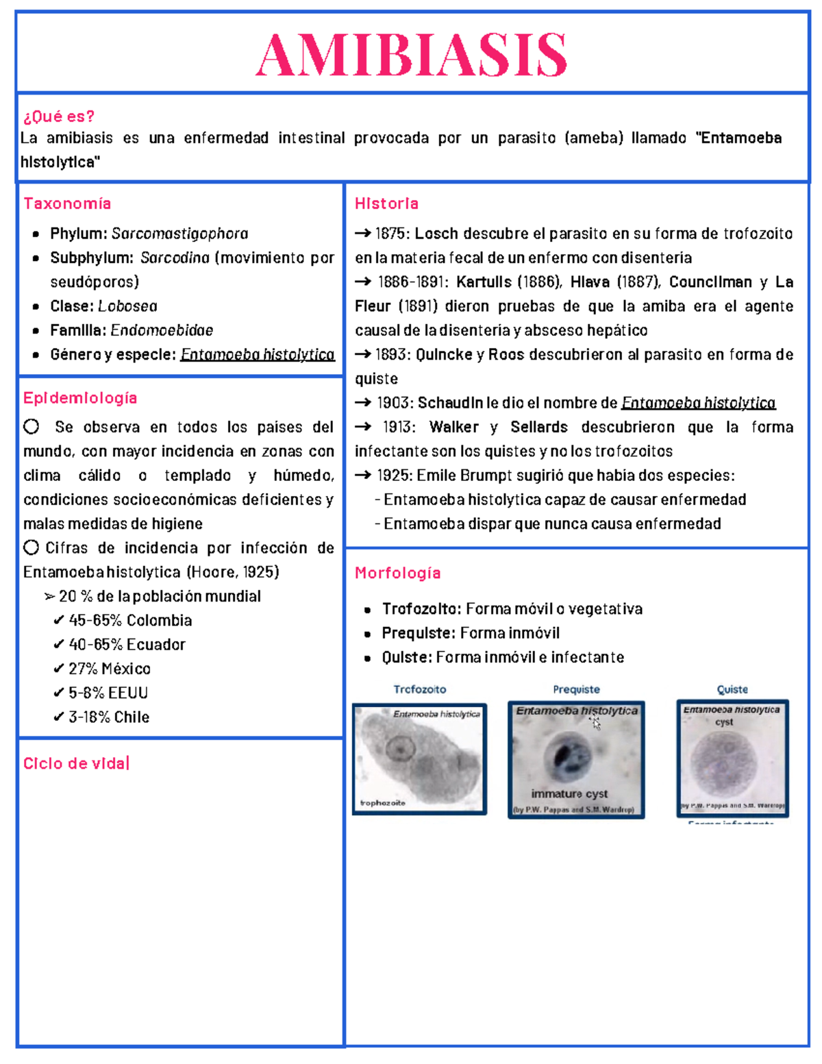 Amibiasis - AMIBIASIS La amibiasis es una enfermedad intestinal ...