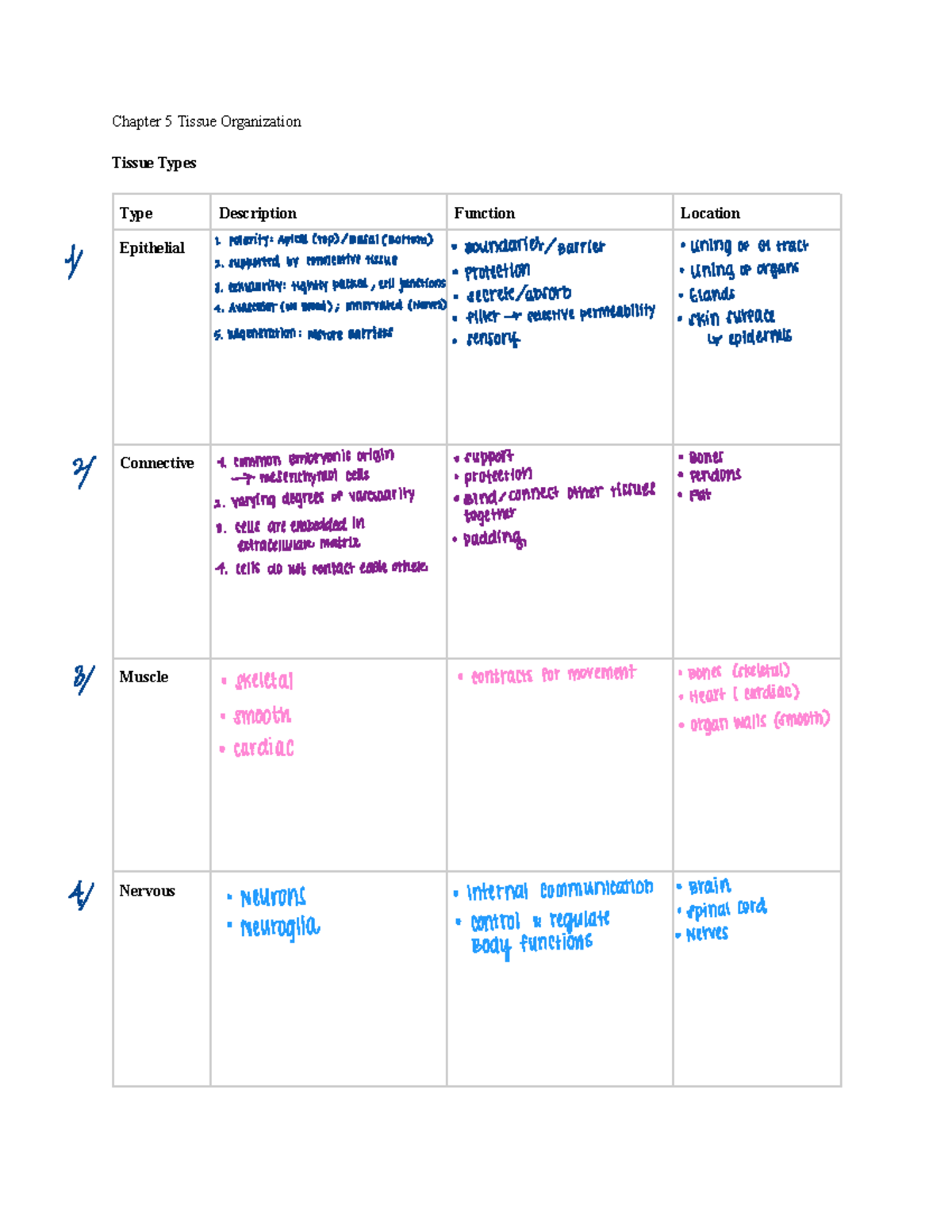 Ch 5 Tissues - Anat and Phys I / Dr. Anne Dower / lecture notes ...