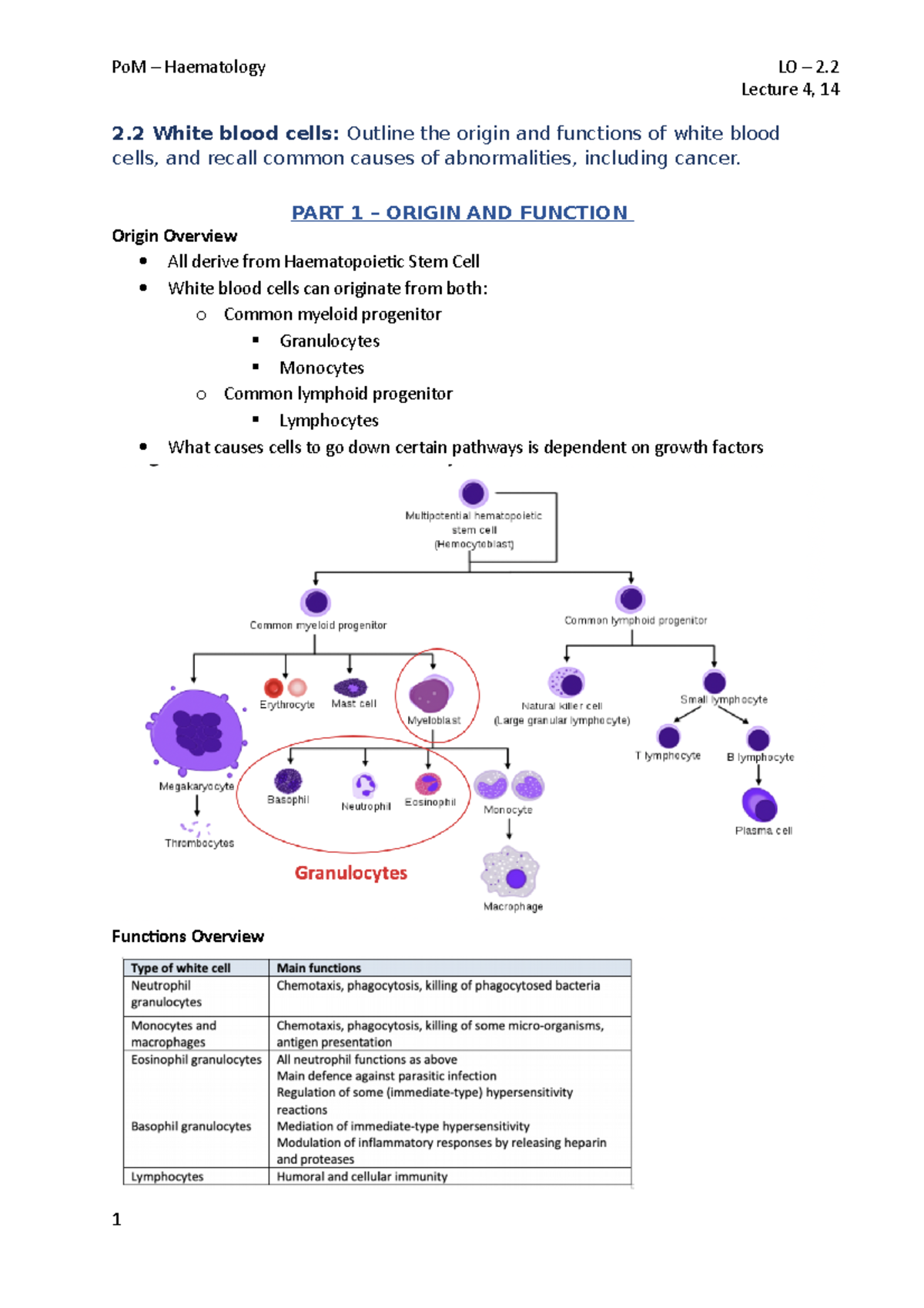 2.2 White Blood Cells - Lecture 4, 14 2 White blood cells: Outline the origin and functions of ...
