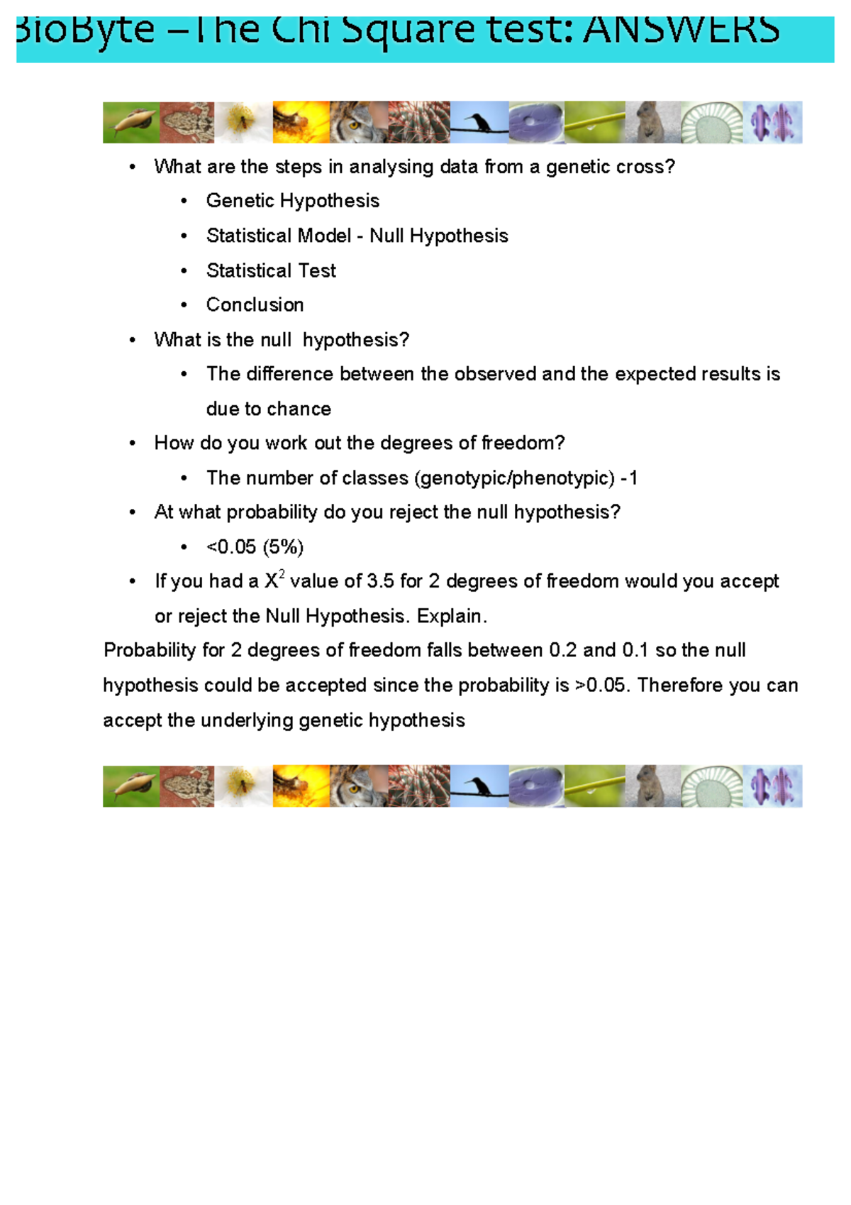 Biobyte chi square test answers - What are the steps in analysing data ...