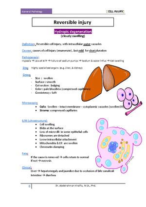 Inflammation MCQ - MCQ OF General pathology course - General Pathology ...