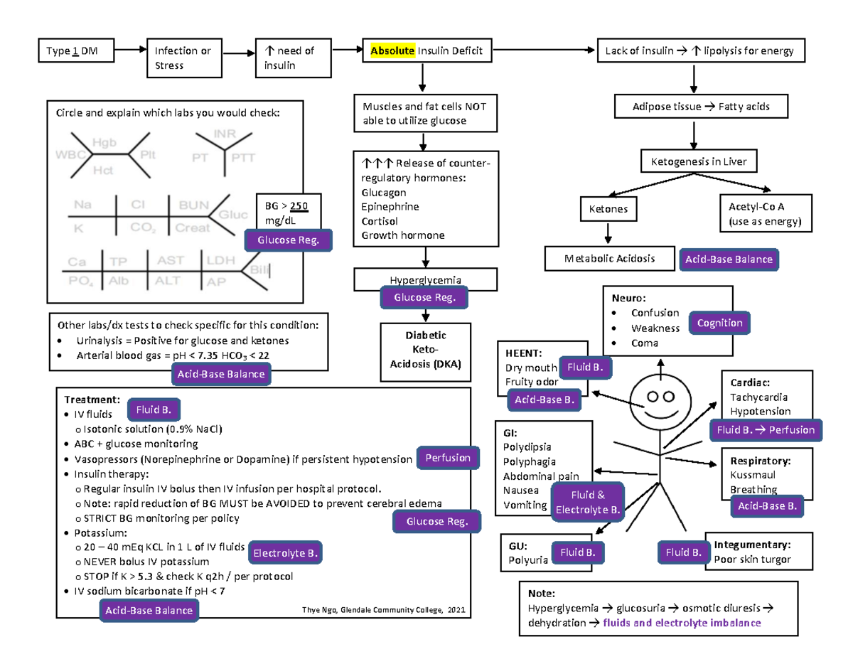 Diabetes DKA - Notes - Type 1 DM Infection or Absolute Insulin Deficit ...