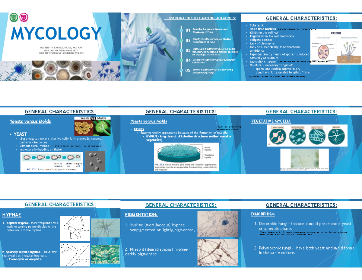 MYCV311 LEC ppt - MUST TO KNOW - MYCOLOGY ROCHELLE D. DARLUCIO-YABUT, RMT, MPH OUR LADY OF ...