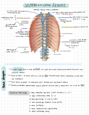 5 Sentidos - Los cinco sentidos son sistemas complejos que permiten al ...