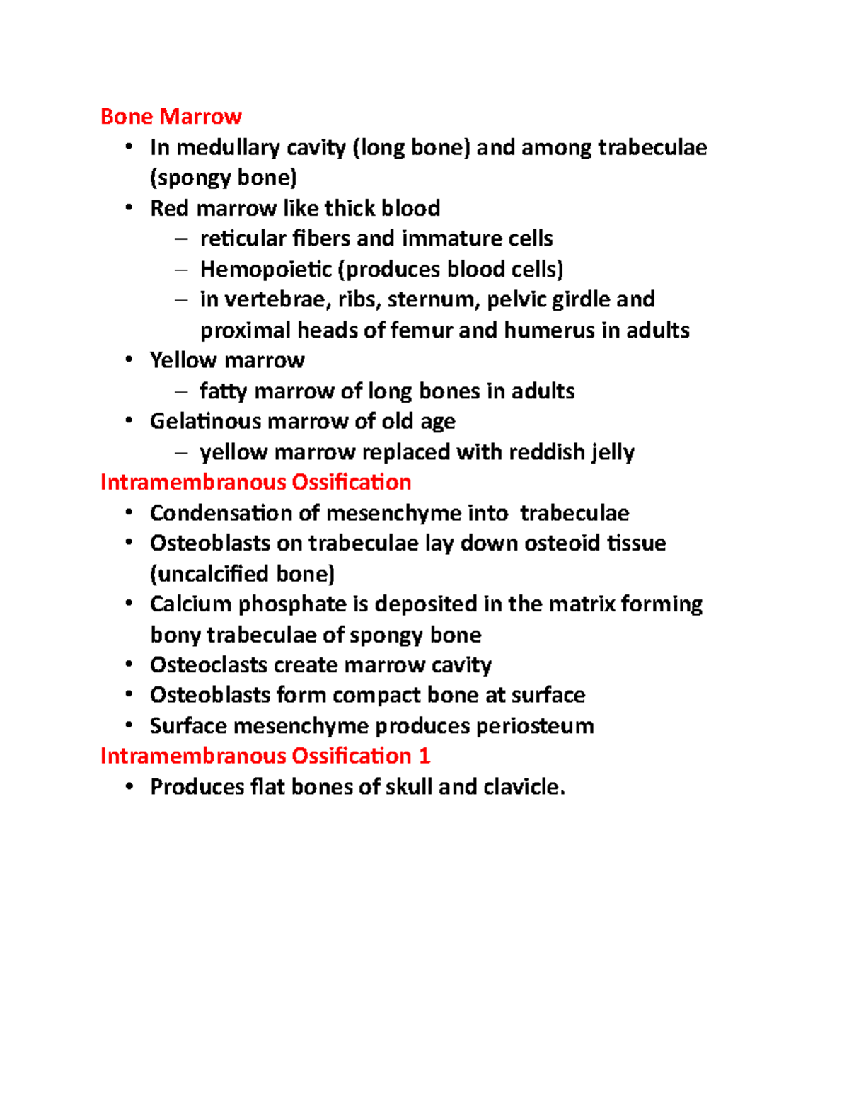 Chap 7 15-30 anatomy 2 - lecture notes - Bone Marrow - In medullary ...