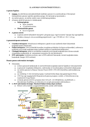 10. tétel - Gen2 - 10. AZ EUKARIÓTA KROMOSZÓMÁK SZERKEZETE II. Az ...