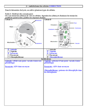 Tp3 - Rapport NCBI - Compte rendu de TP N∞ I. Observation microscopique ...