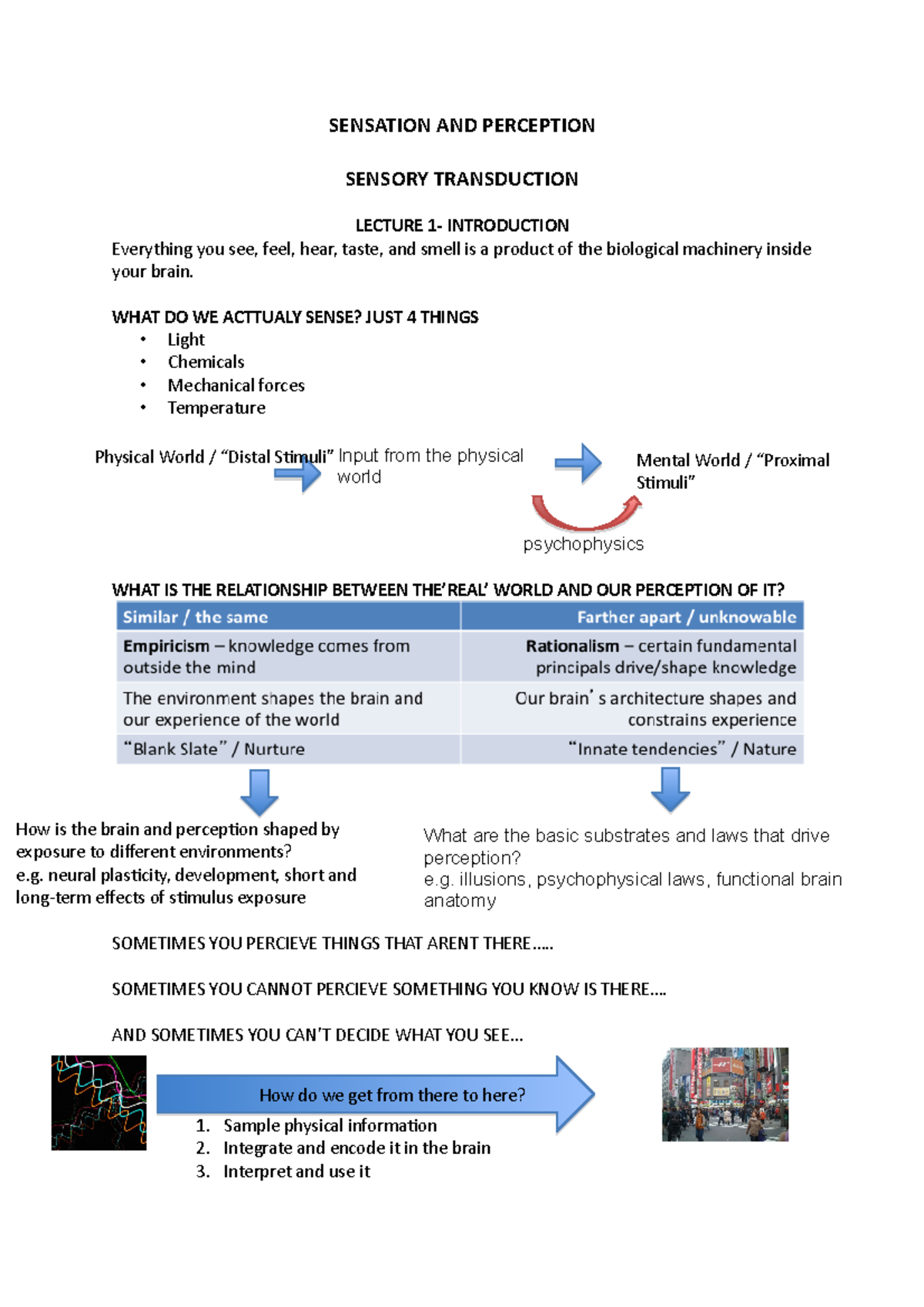 Sensation AND Perception - SENSATION AND PERCEPTION SENSORY ...