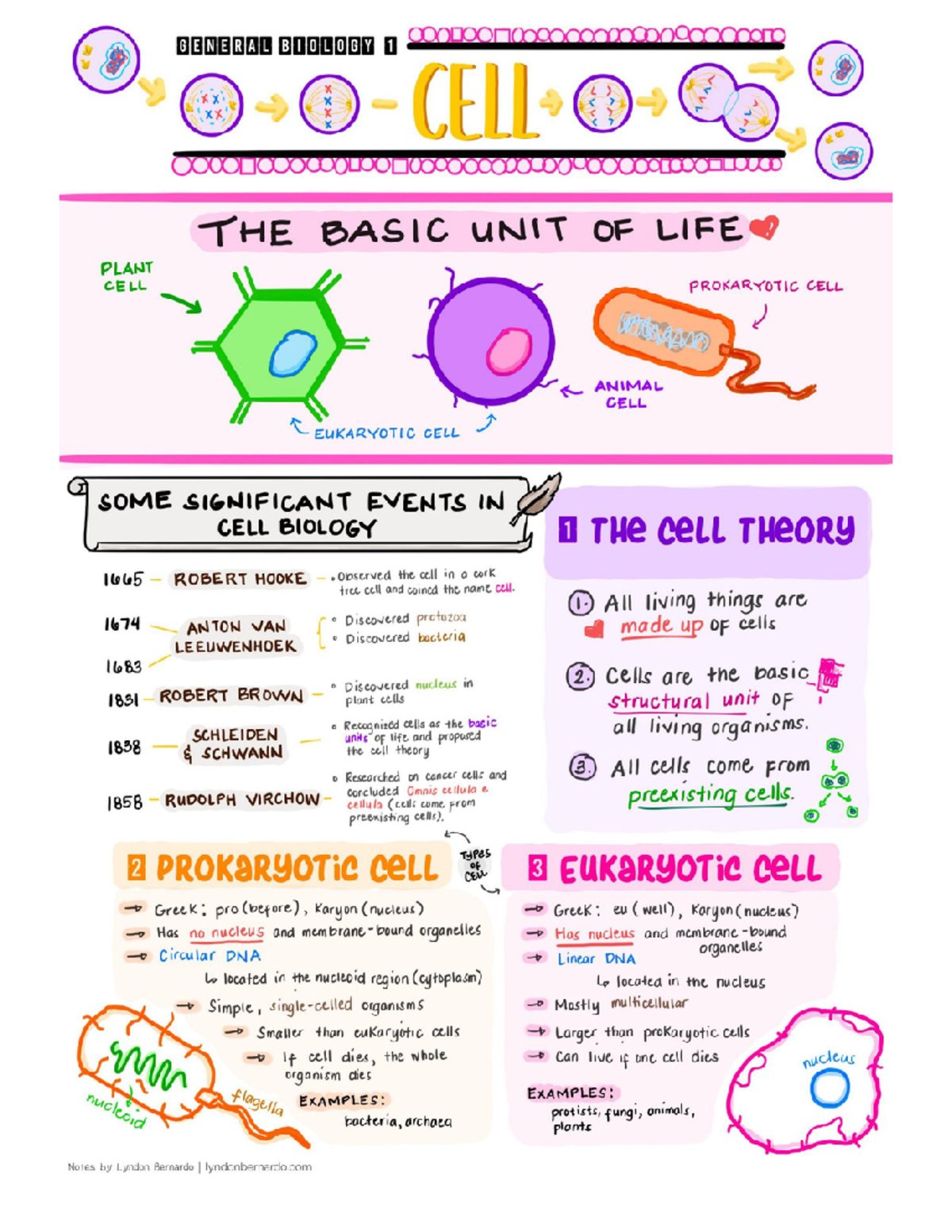 Untitled design (35) - n/a - GENERAL BIOLOGY CELL THE BASIC UNIT OF ...