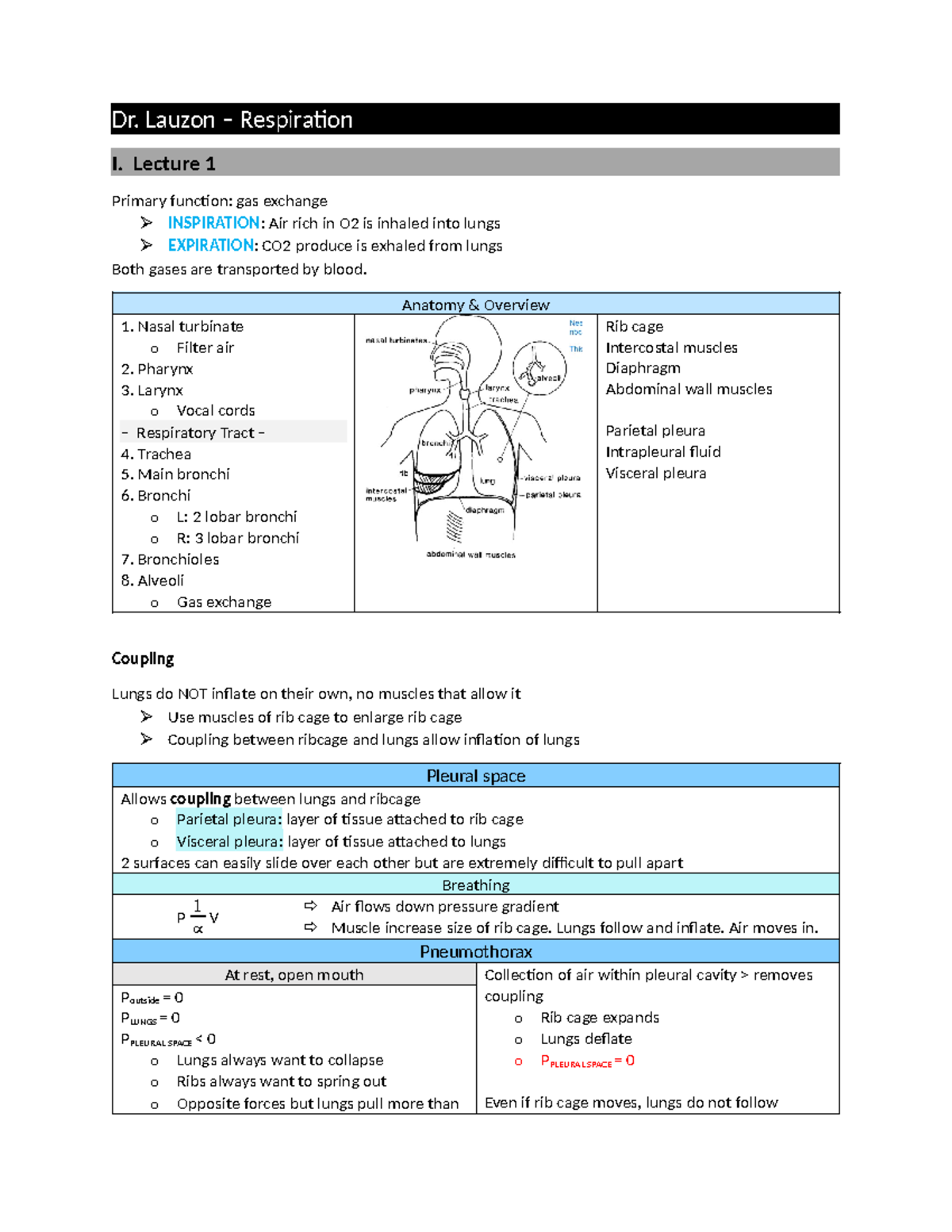 Respiration Lectures 1-3 - Dr. Lauzon – Respiration I. Lecture 1 ...