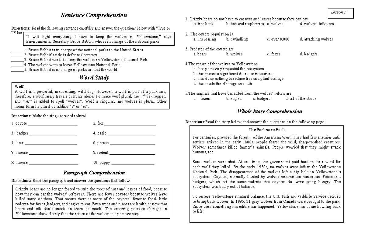 Reading Comprehension Sheet - Sentence Comprehension Directions: Read ...