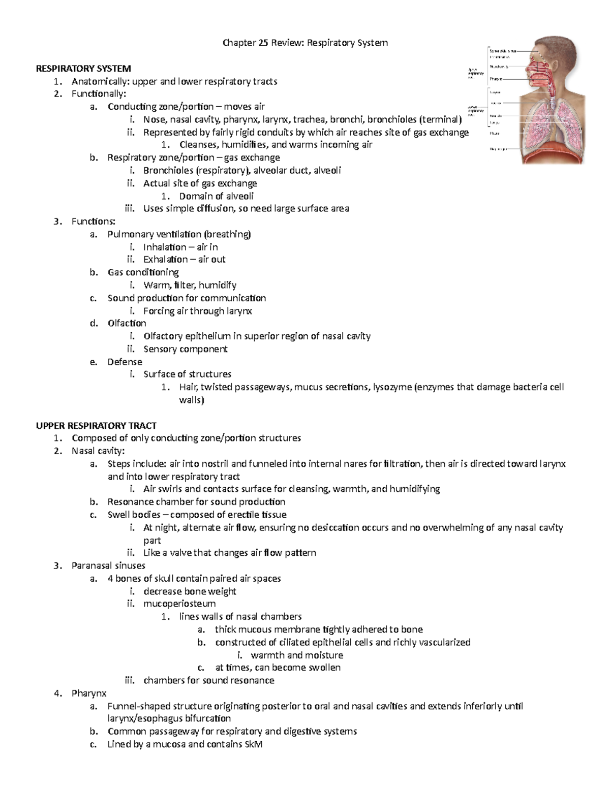 Chapter 25 Review - Chapter 25 Review: Respiratory System RESPIRATORY ...