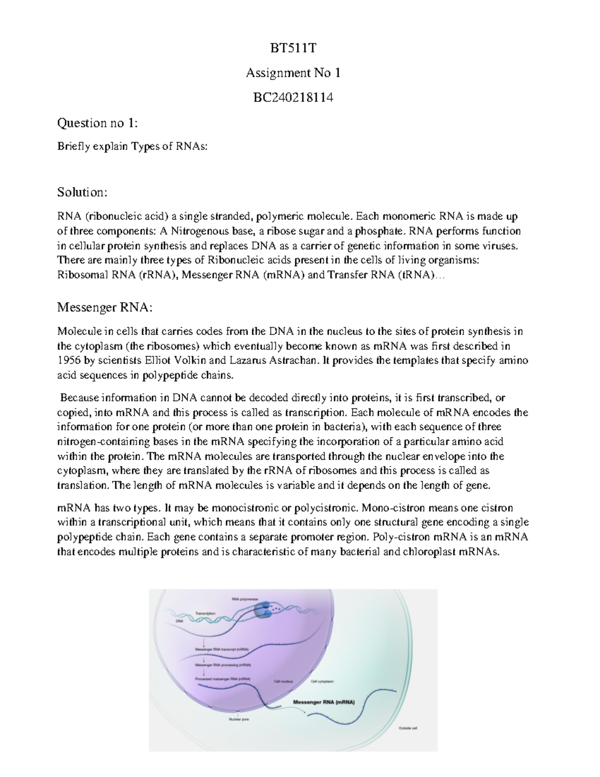 BT511T - BT511T Assignment No 1 BC Question no 1: Briefly explain Types ...