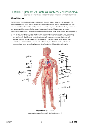ISAP Module 3 - How do we move - Text book readings: Chapter 9 focus ...