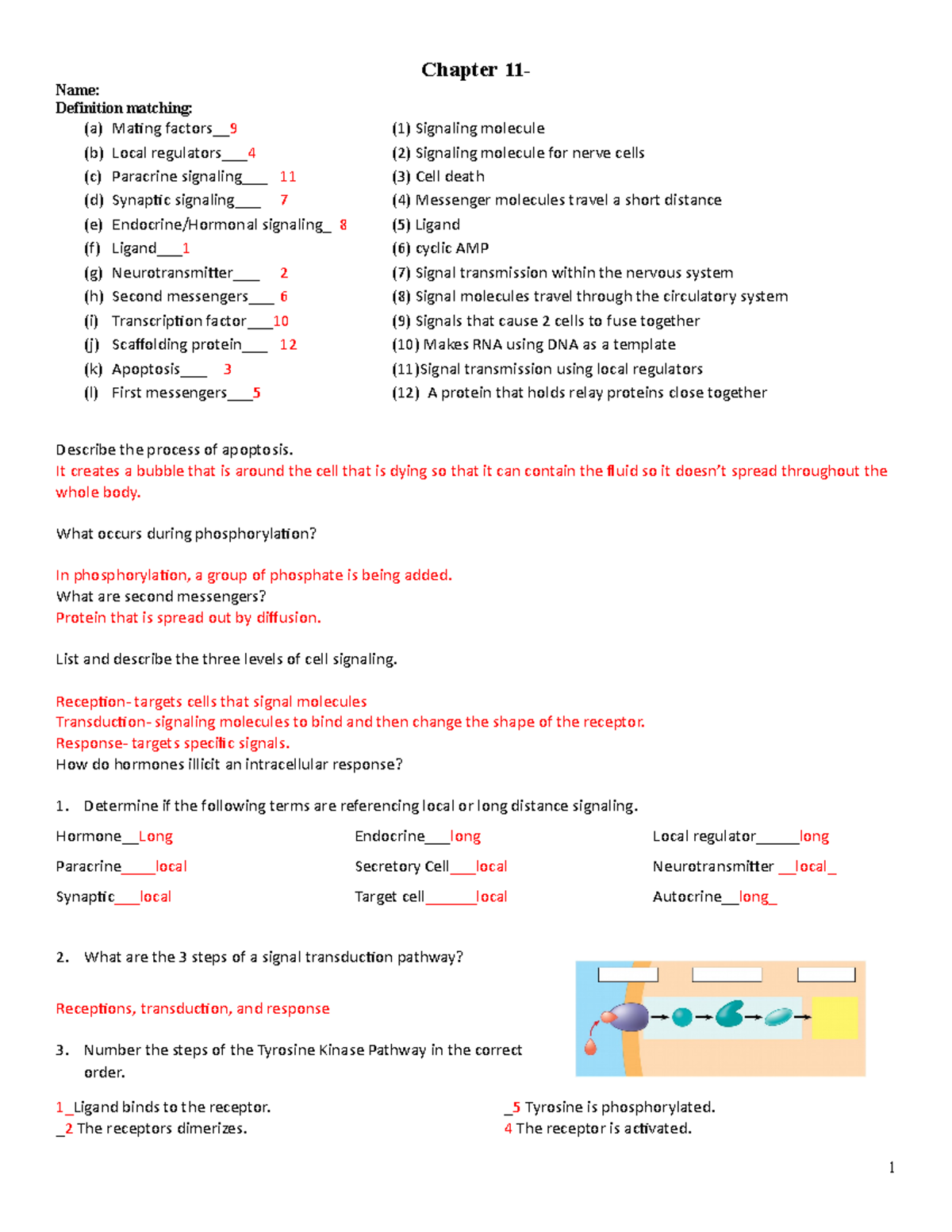 WEEK 8-HW- Chapter 11 - hw...... - Chapter 11- Name: Definition matching: (a) Mating factors__ 9 ...