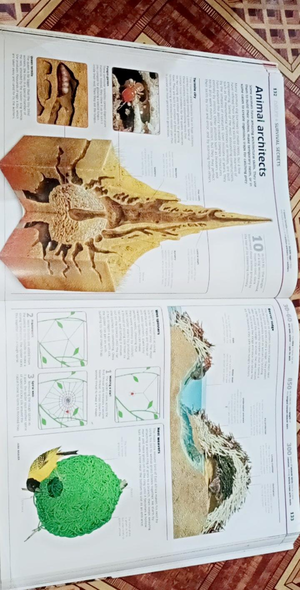 Purpose and Functions of Journalism (study guide) - Basics of ...