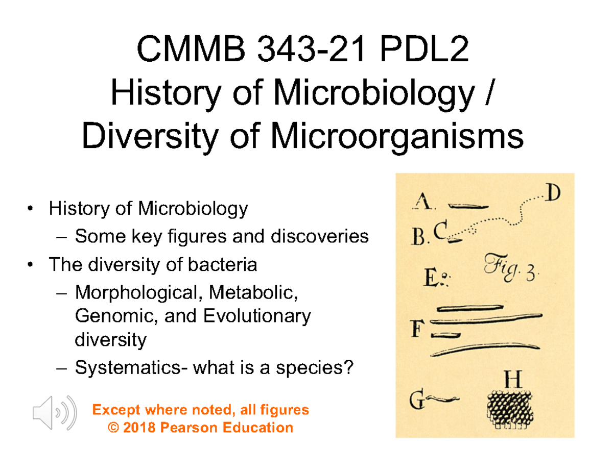 CMMB343-21-PDL2 History and diversity - CMMB 343-21 PDL History of ...