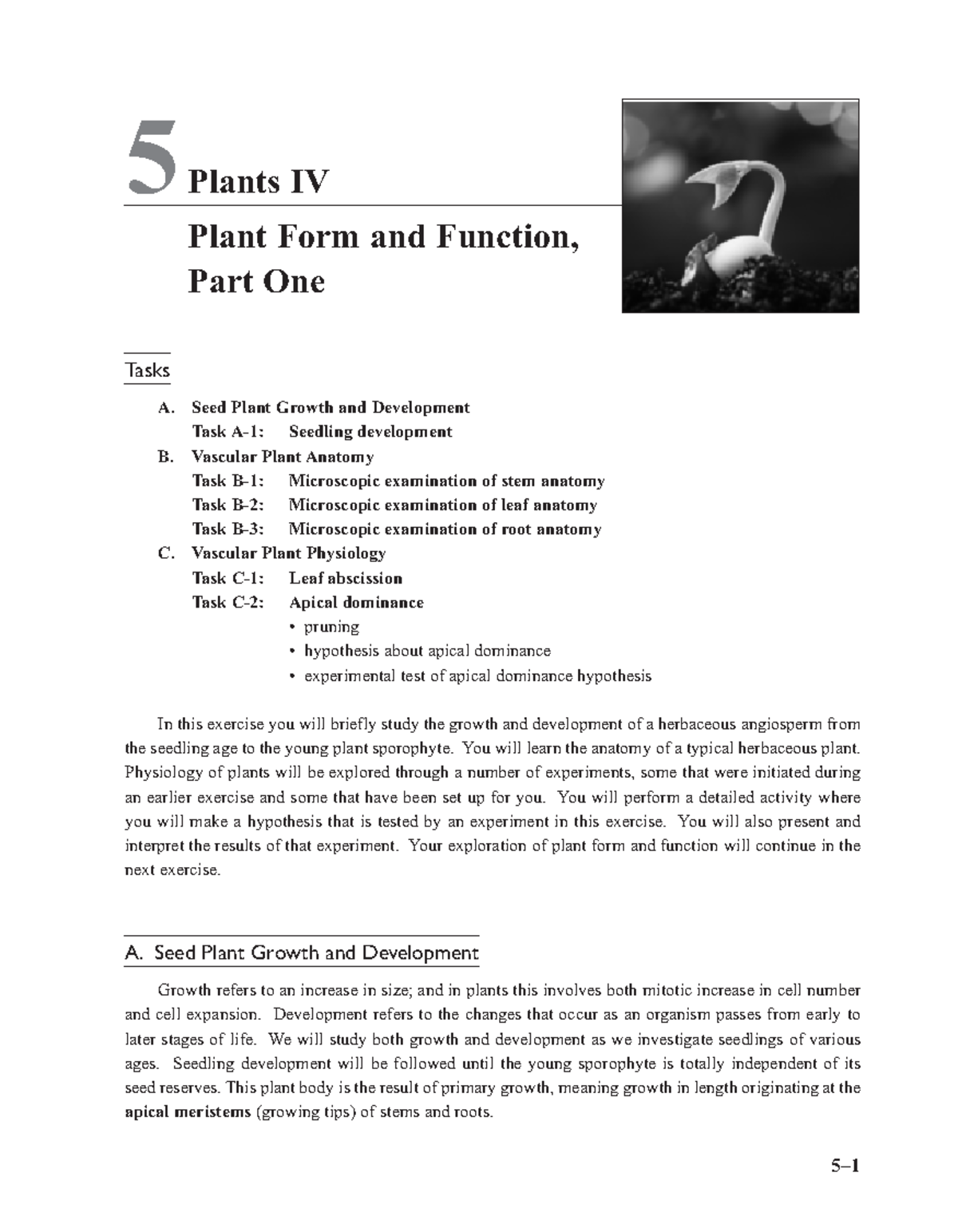 Biol1031-5 - lab 5 - 5 Plants IV Plant Form and Function, Part One ...
