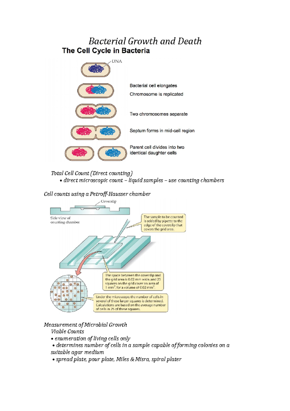 Bacterial Growth and Death - Bacterial Growth and Death Total Cell ...