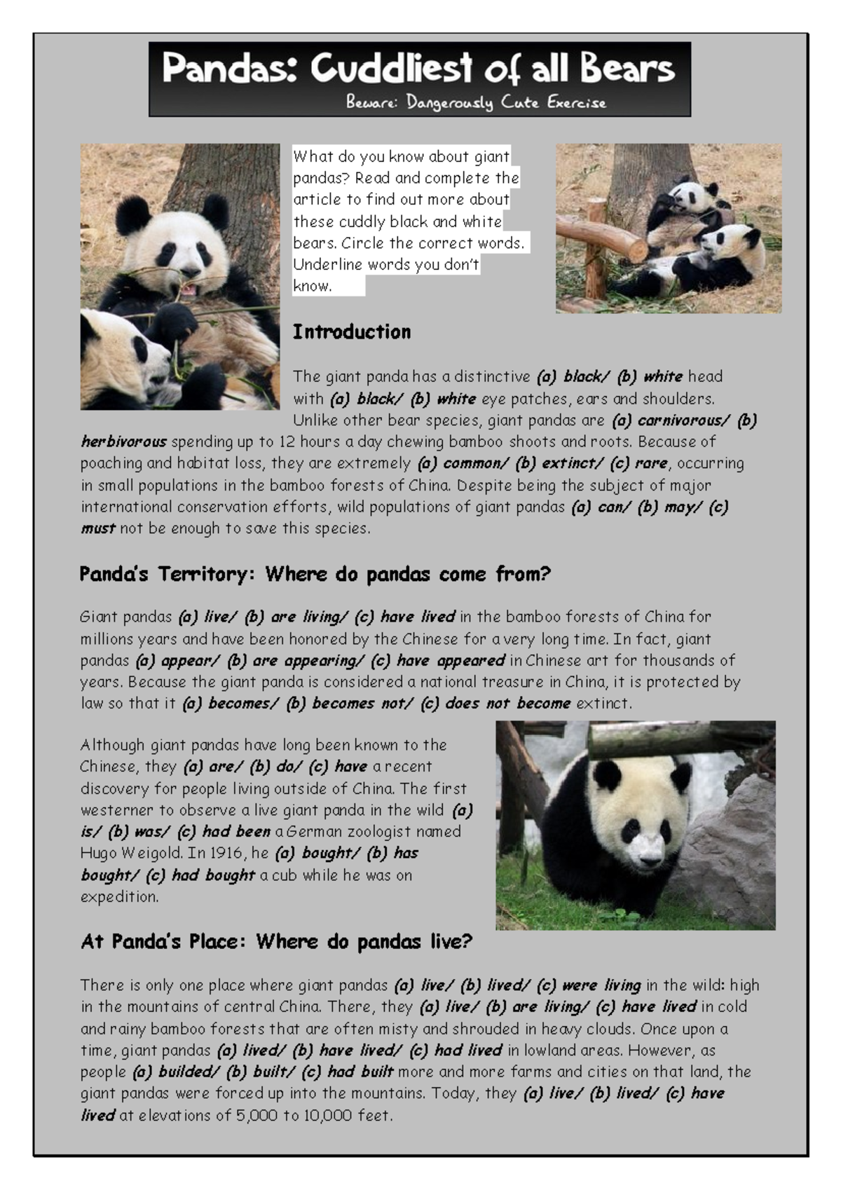 Reading-1-what-do-you-know-about-giant-pandas-fun-activities-games ...